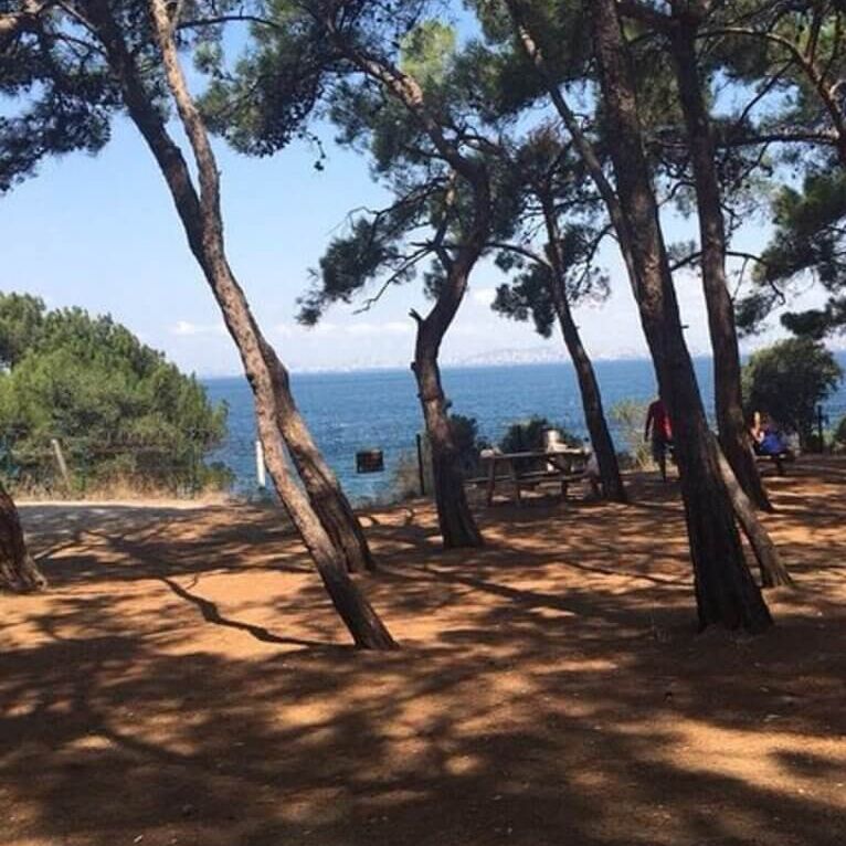 100 Yıl Gümüşkum Tabiat Parkı › Gezi Rehberi | Mezitli | Mersin 100 Yıl Gümüşkum Tabiat Parkı › Gezi Rehberi | Mezitli | Mersin